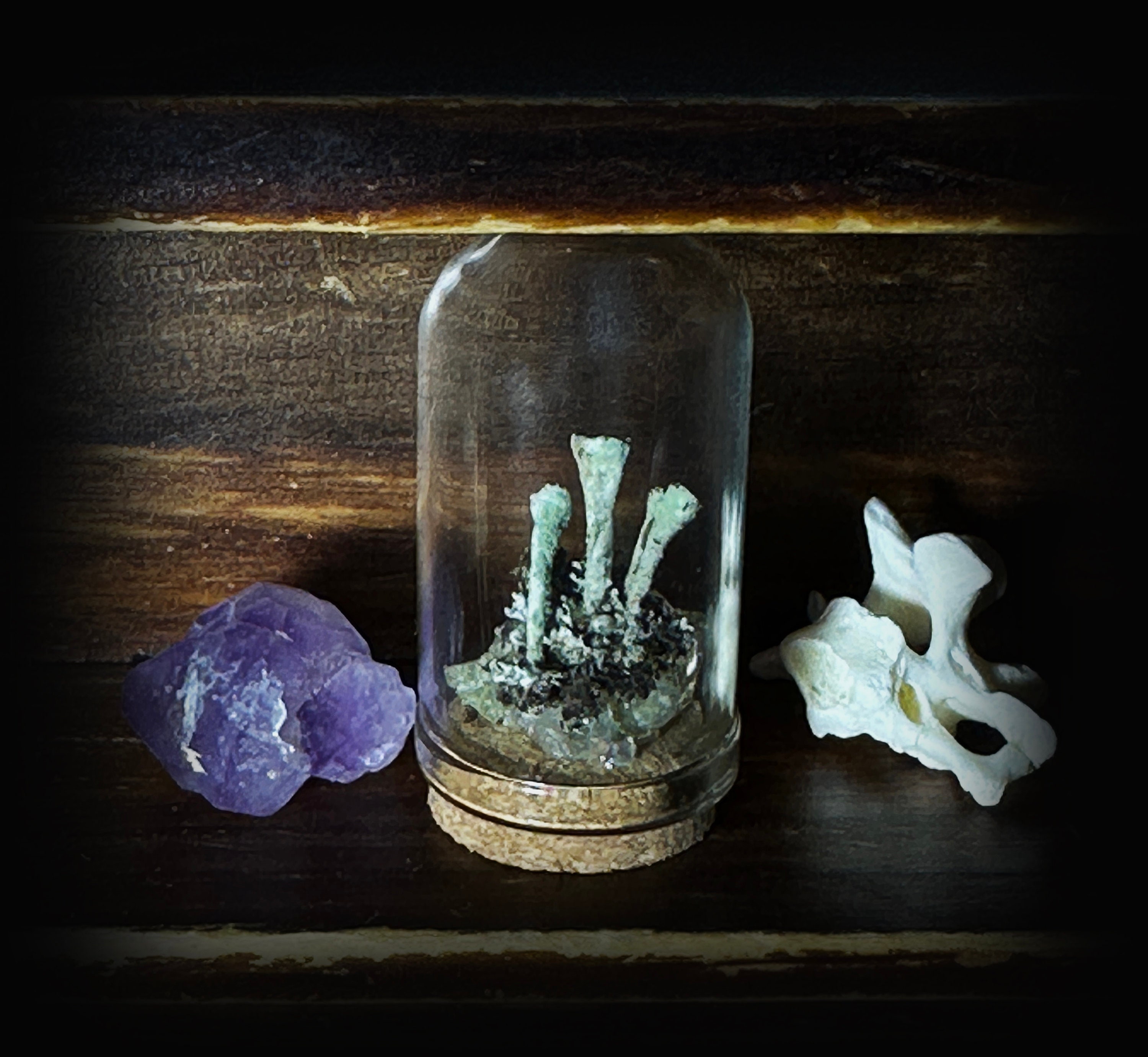 Mutant Lichens on Uranium and Cobalt Glass - Glow in the Dark Oddities ...