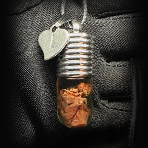 My Heart is Yours Pendant - Real Rat Heart in a Glass Vial - Oddity in ...