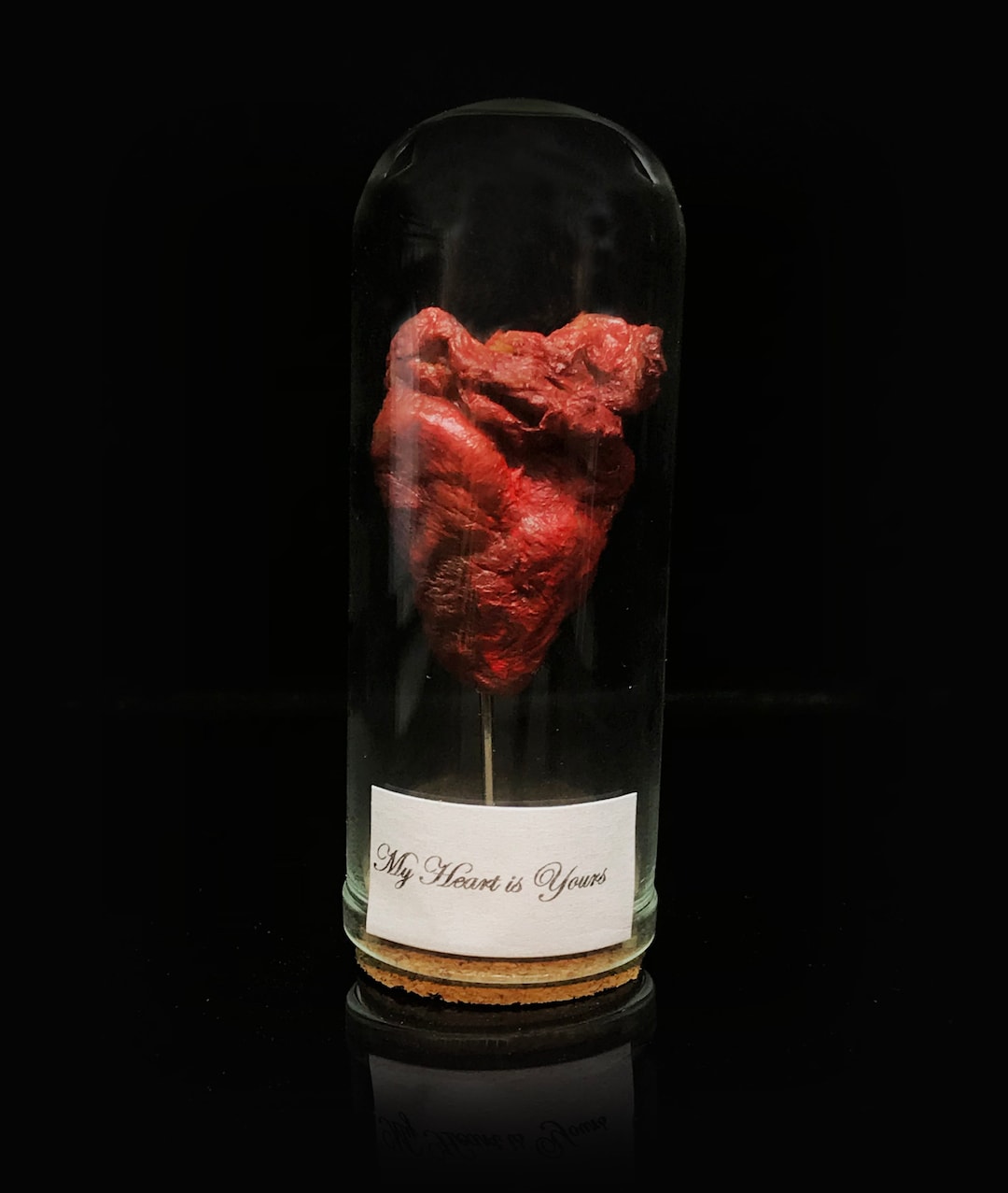 Bloody Mummified Heart in a Glass Dome - Curiosity - Love Token ...