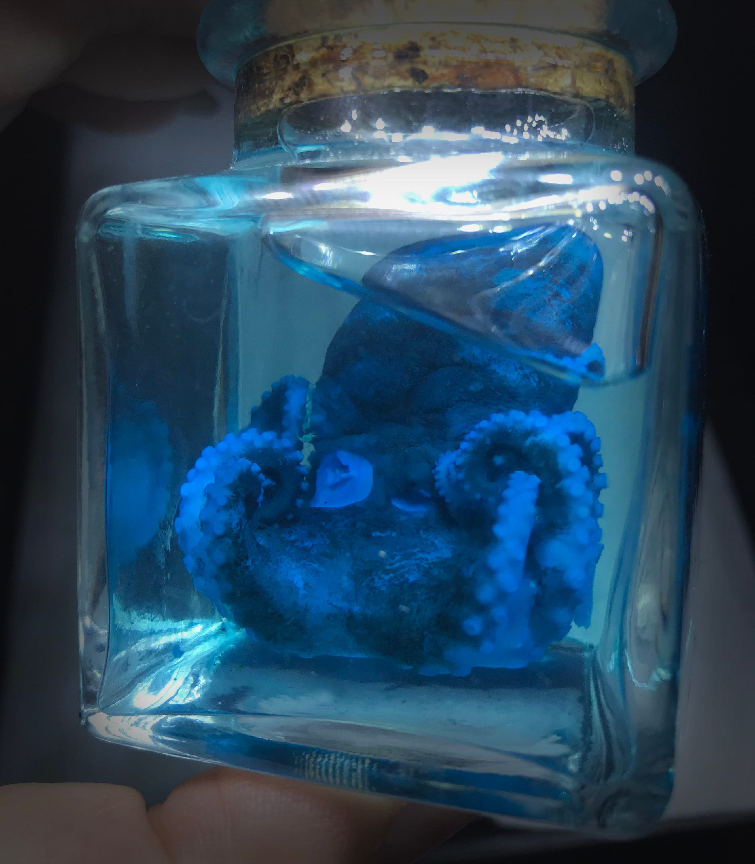 Cute BLUE baby octopus in a jar Rare Curiosity | Etsy