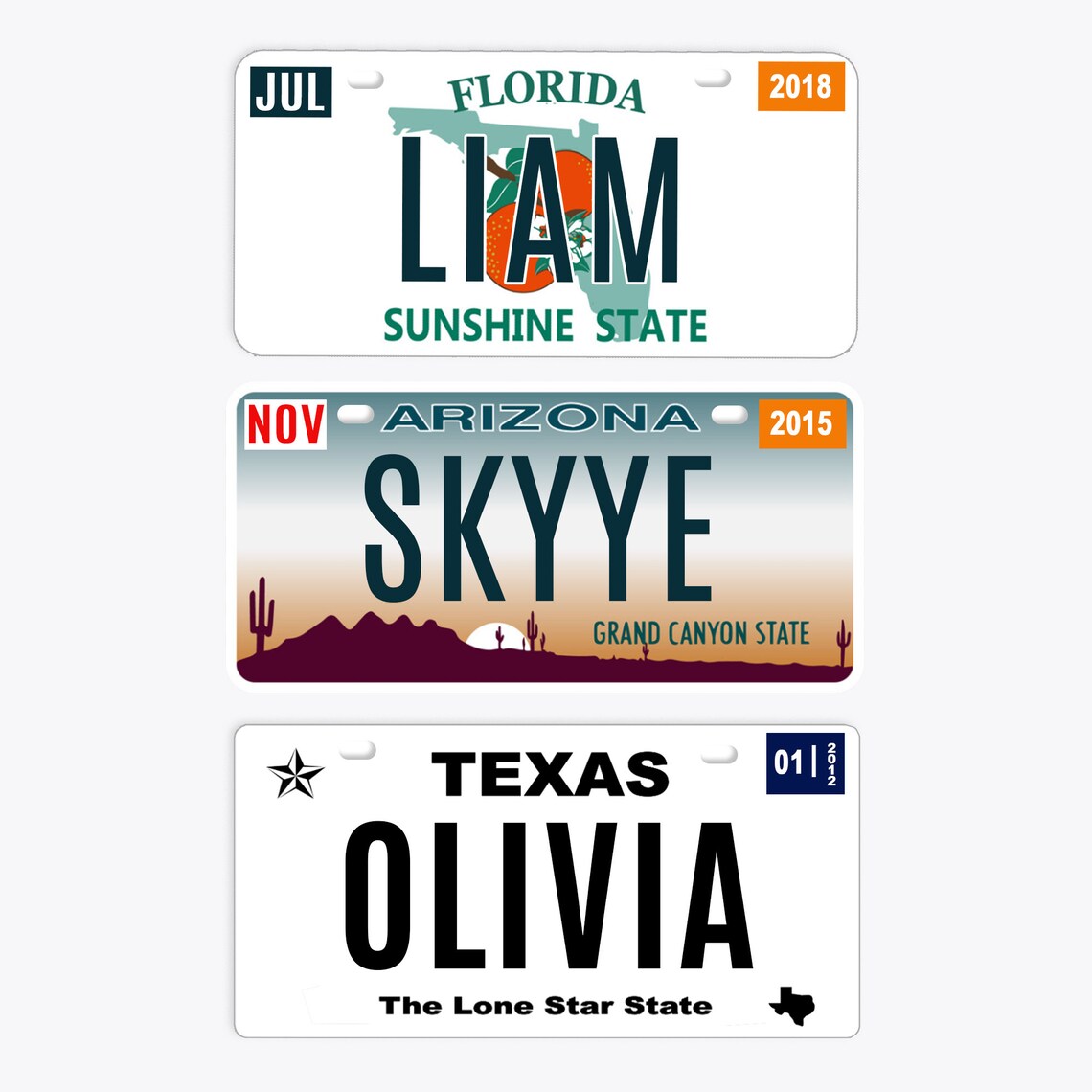 Mini State License Plates Custom Bicycle License Plate - Etsy