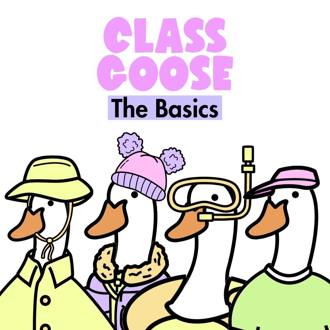 Silly Goose Classroom Management - Class Mascot Ideas - Magnetic Porch ...