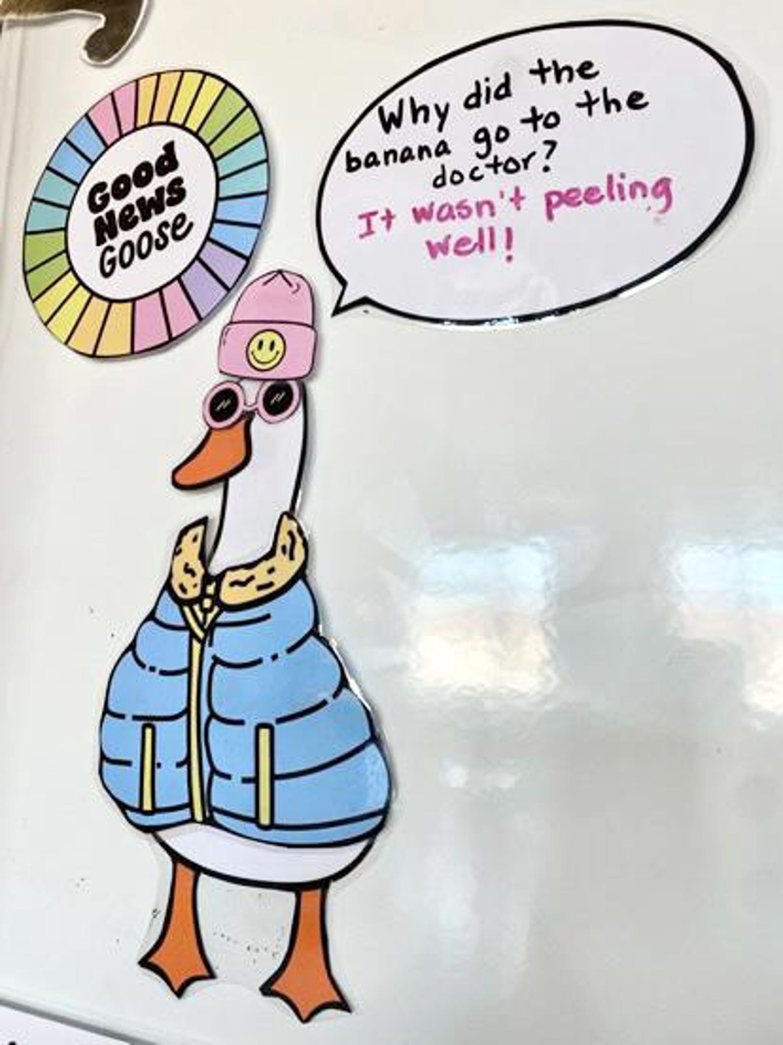 Silly Goose Classroom Management - Class Mascot Ideas - Magnetic Porch ...