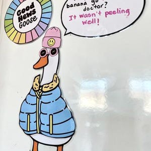 Silly Goose Classroom Management - Class Mascot Ideas - Magnetic Porch ...