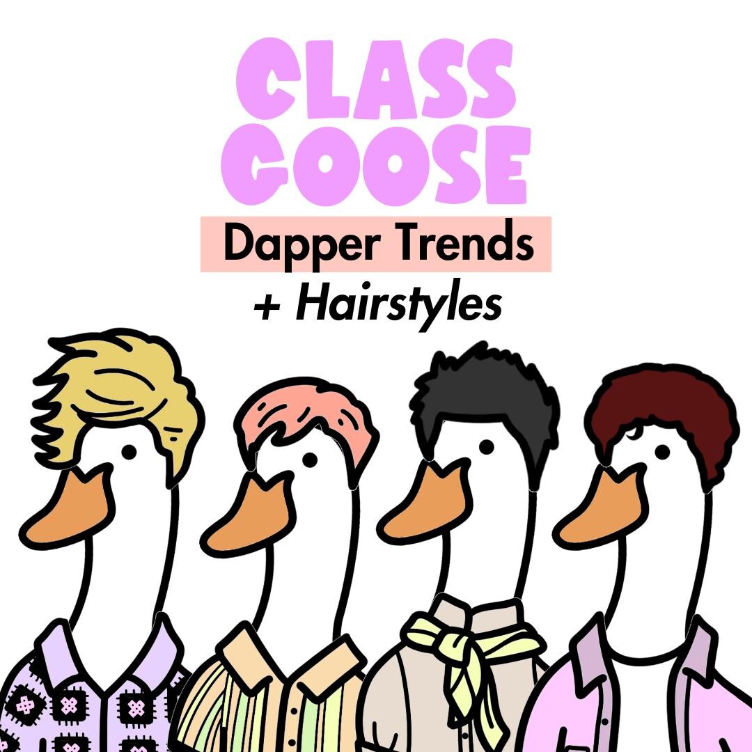 Classroom Goose - Cute Classroom Decor - Class Mascot - Porch Goose ...