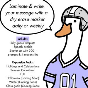 Silly Goose Bundle - Classroom Management - Class Mascot - Magnetic ...