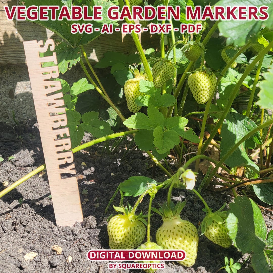 Laser Cut Garden Markers SVG, 60 Labeled Vegetable Herb & Fruit Pins ...