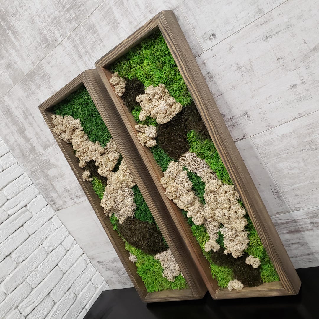 Botanical Collage in Rich Moss Tones. Vertical Garden Meets Soulful ...