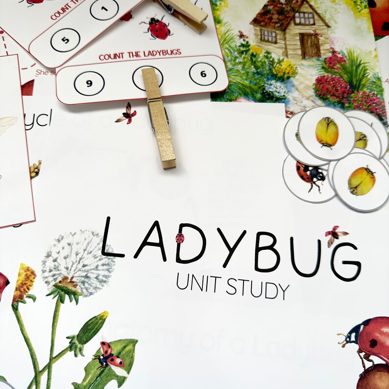 Science Unit Study : Ladybugs Printable Kids Activities - Etsy