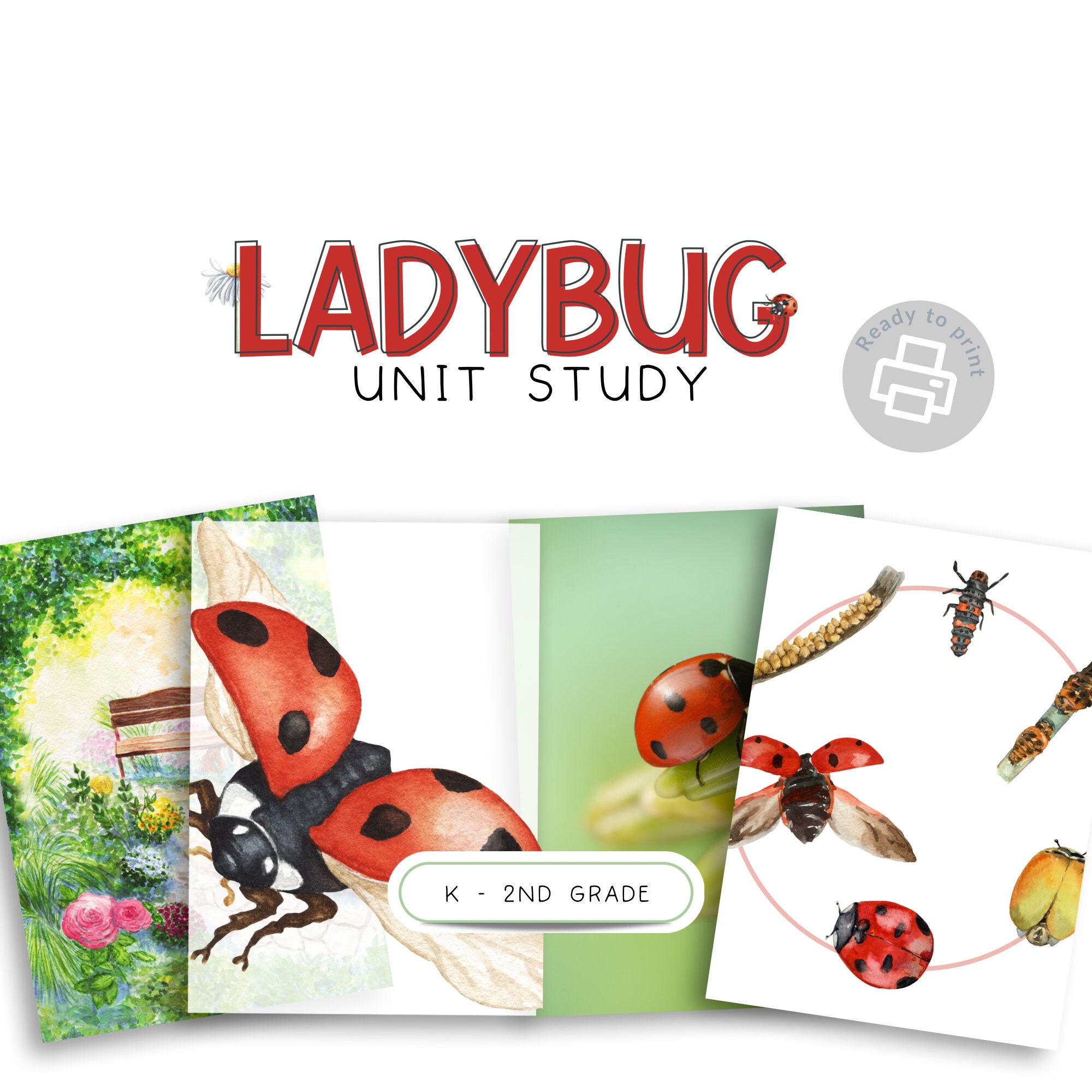 Science Unit Study : Ladybugs Printable Kids Activities - Etsy