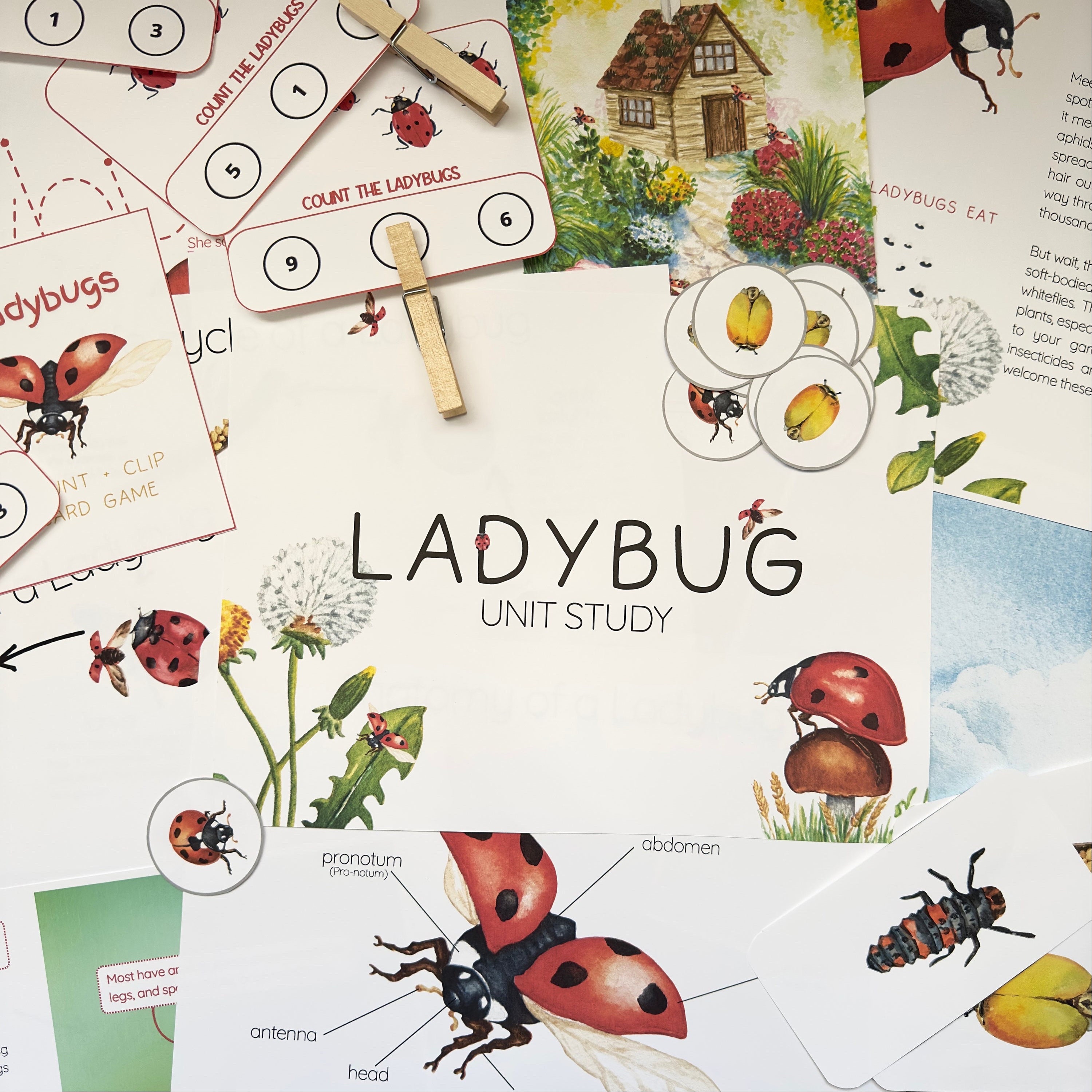 Science Unit Study : Ladybugs Printable Kids Activities - Etsy