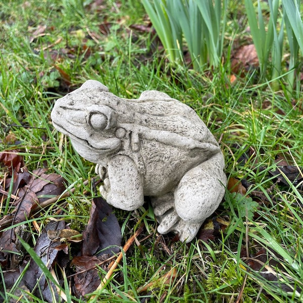 Concrete Toad - Etsy