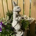 Mini Peter Rabbit Stone Statue Beatrix Potter Animal Garden - Etsy