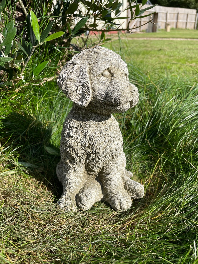 Cockapoo Puppy Dog Stone Statue Animal Garden Outdoor - Etsy