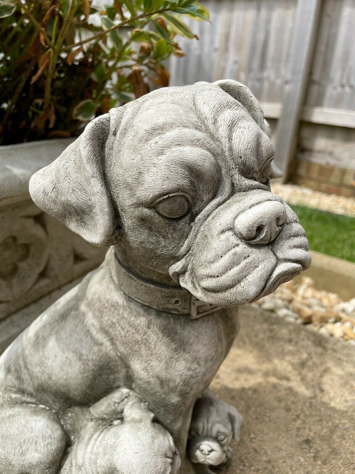 Boxer Dog & Pups Stone Statue Animal Puppy Outdoor Garden | Etsy