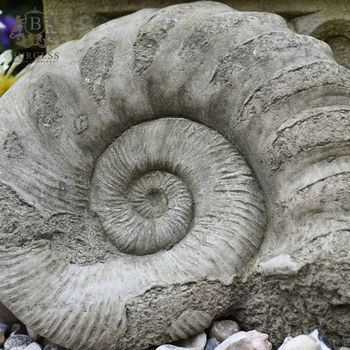 Ammonite Fossil Statue | Reconstituted Stone Concrete Dinosaur Garden ...