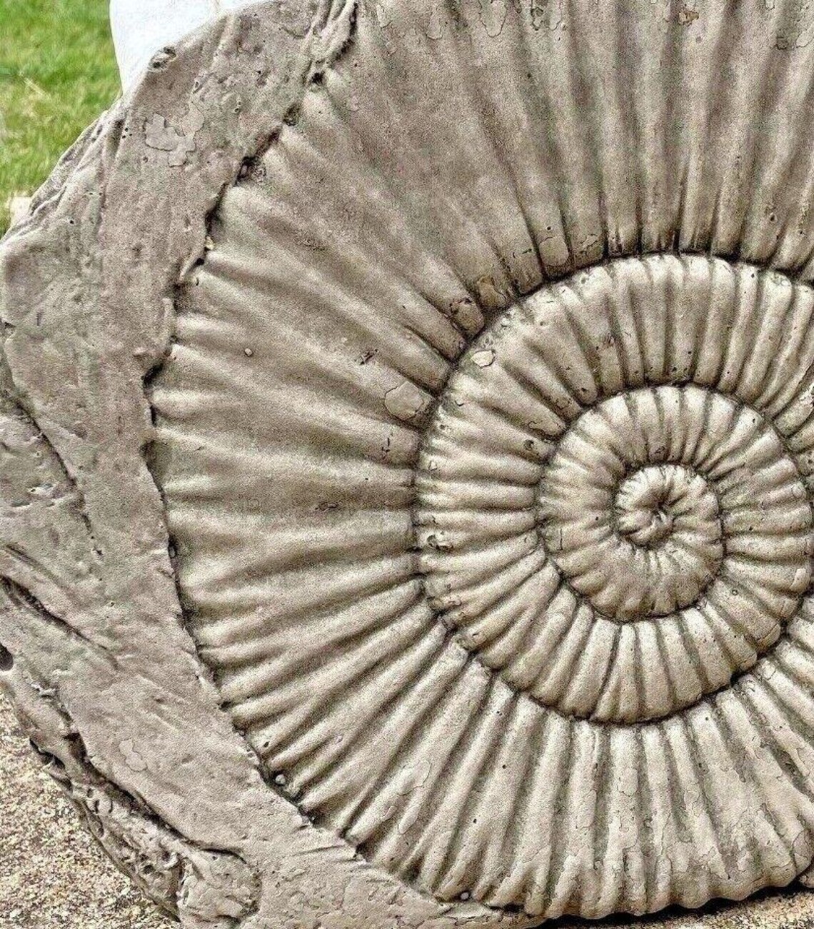 Ammonite Fossil Stone Statue | Dinosaur Outdoor Garden Ornament Uk ...