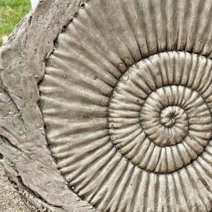 Ammonite Fossil Stone Statue Dinosaur Outdoor Garden - Etsy
