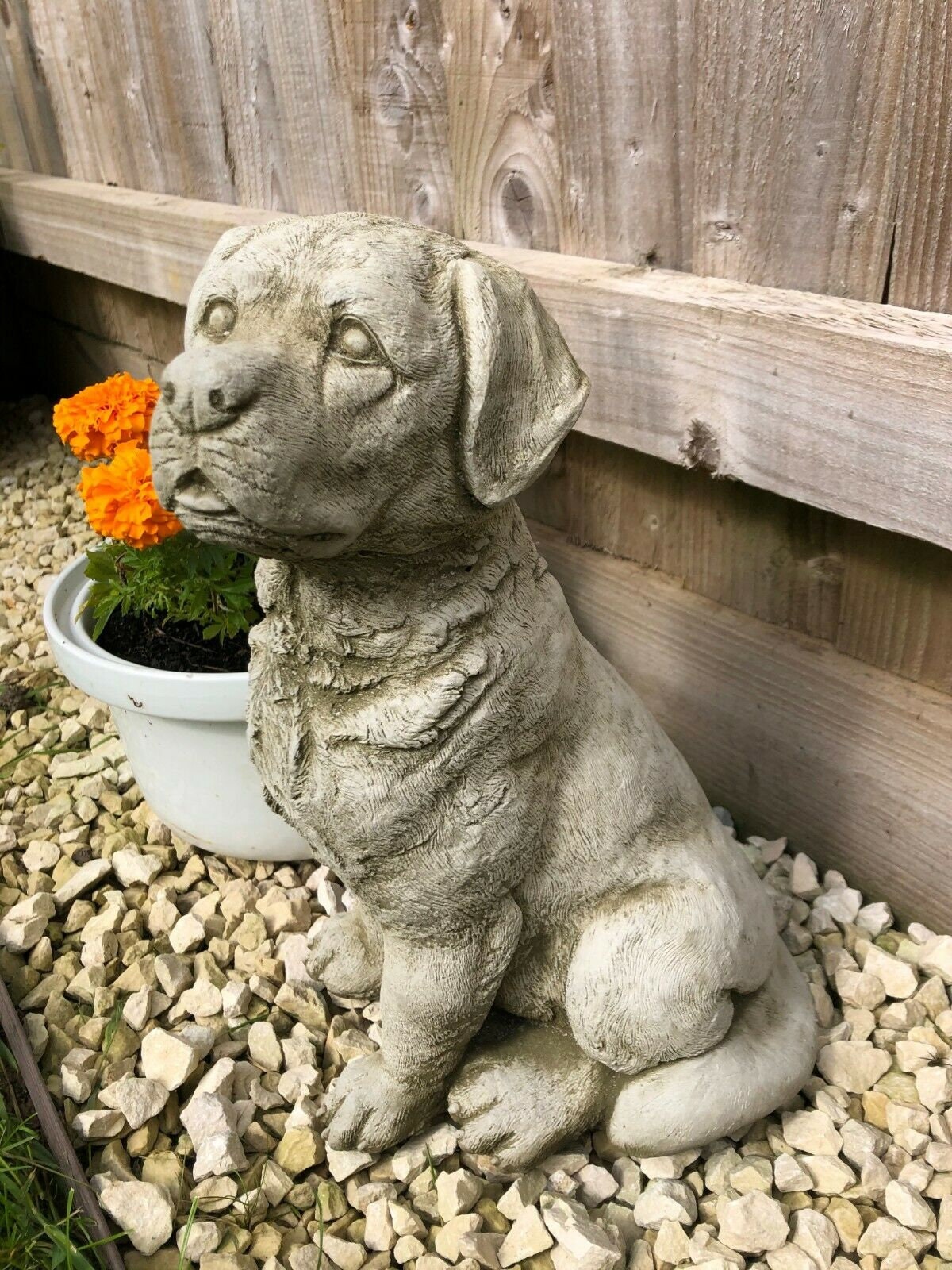 Reconstituted Stone Sitting Labrador Statue | Vintage Concrete Outdoor ...