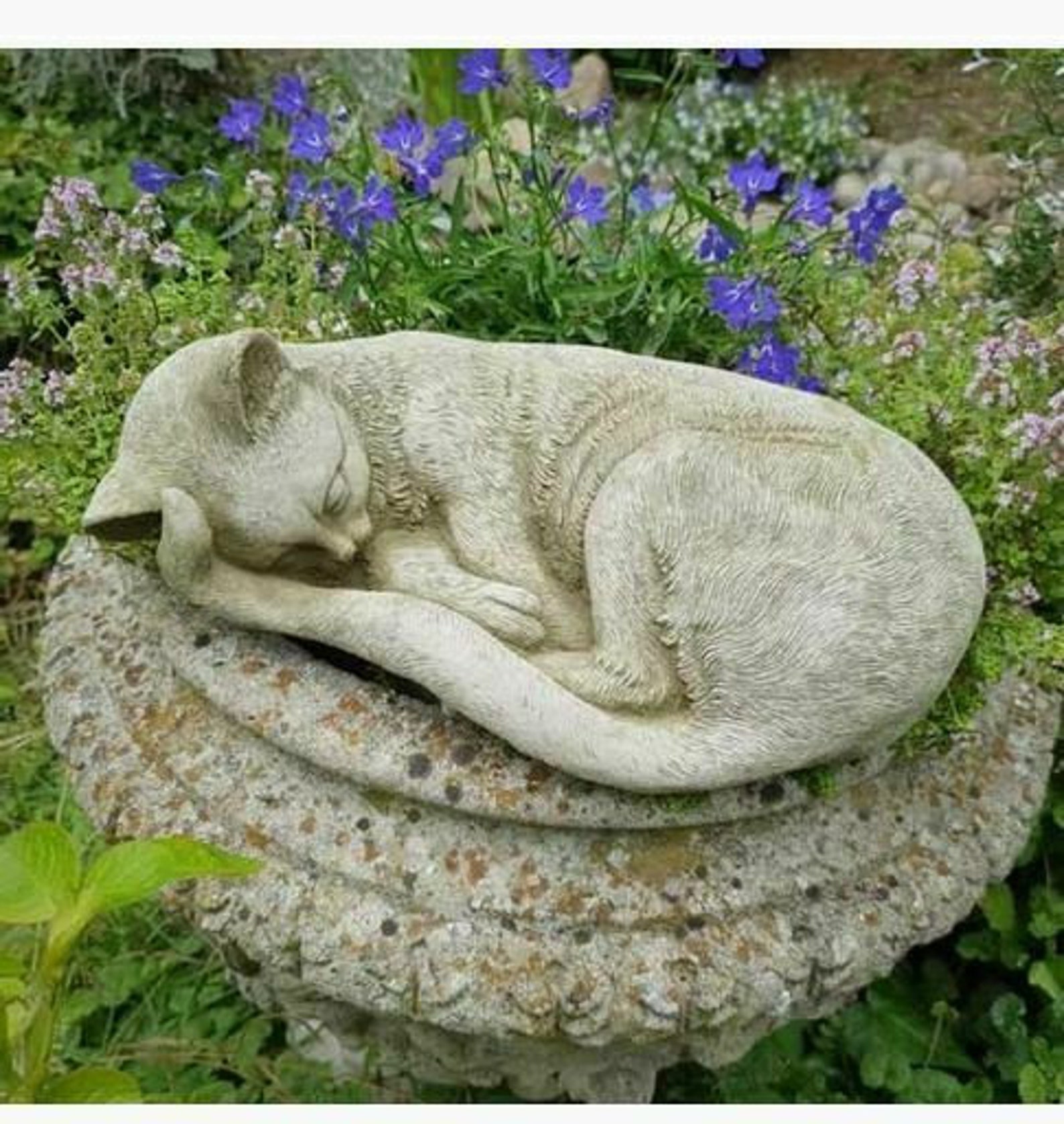 Estatua de gato gatito / decoración de adorno de jardín de - Etsy España