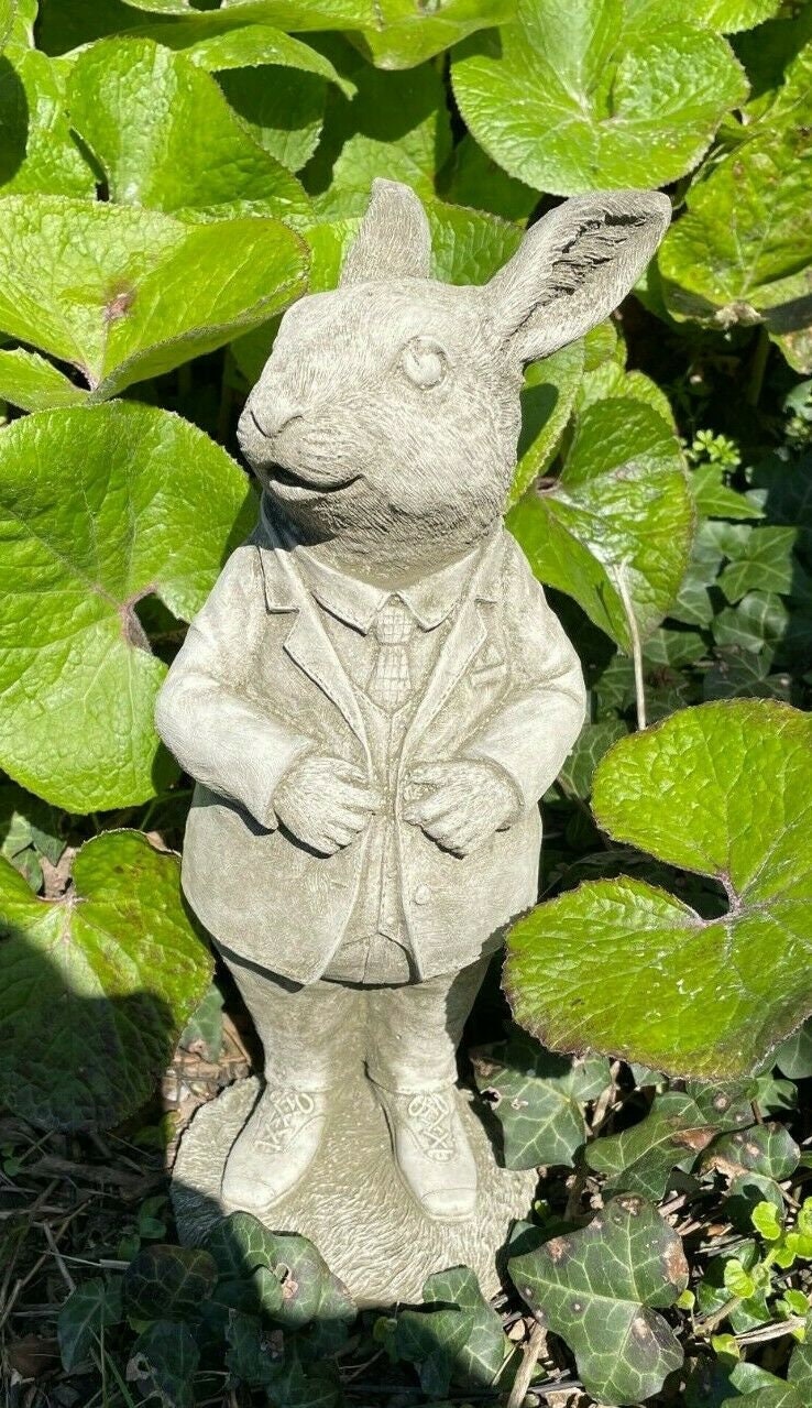 Mr Peter Rabbit Stone Statue Beatrix Potter Animal Garden - Etsy