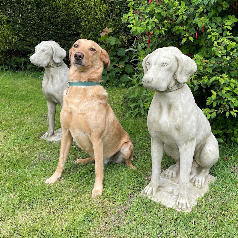 Pair of Hunting Dog Pointer Hound Stone Statues | Large Antique Outdoor ...