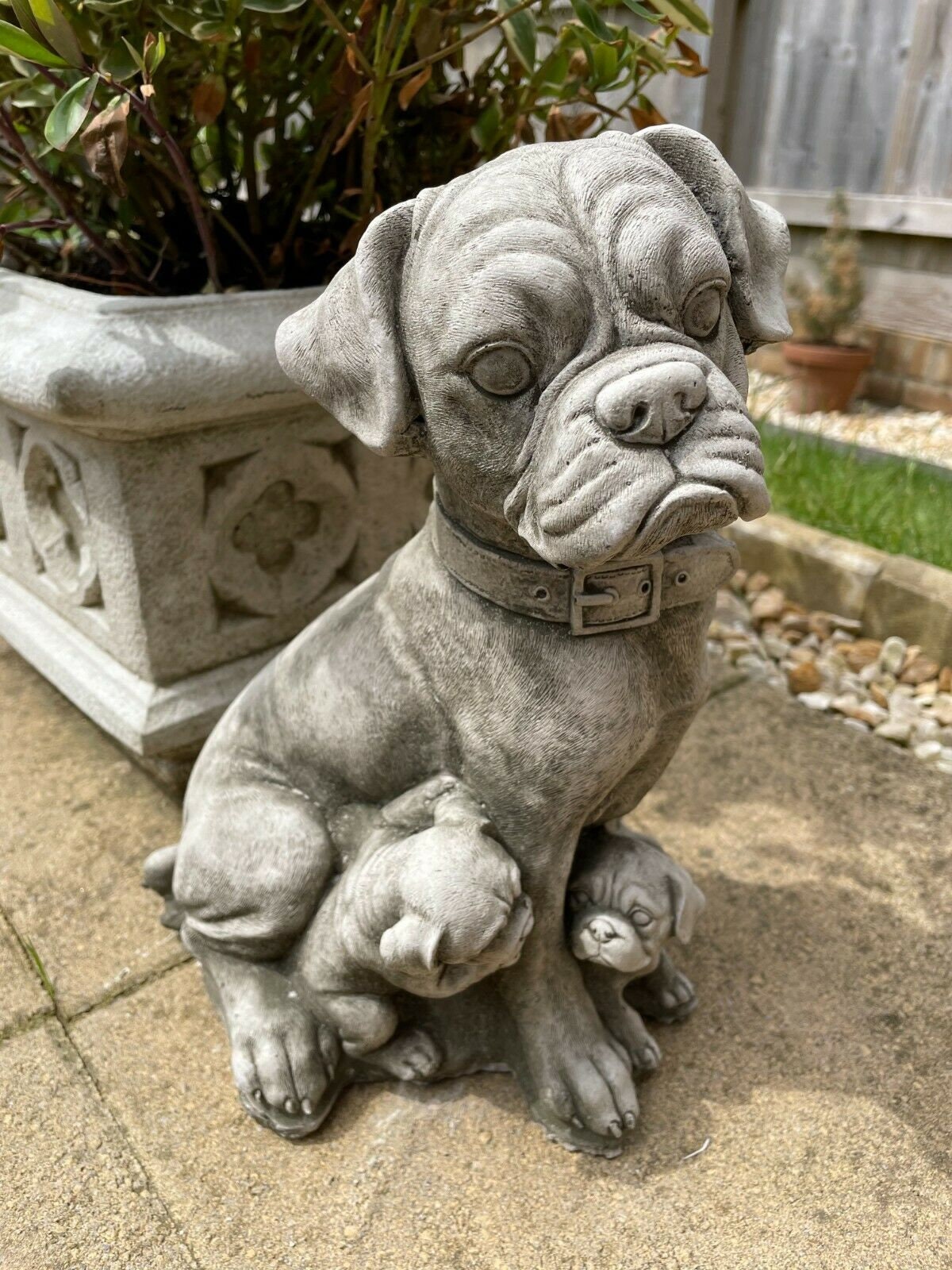 Boxer Dog & Pups Stone Statue Animal Puppy Outdoor Garden | Etsy