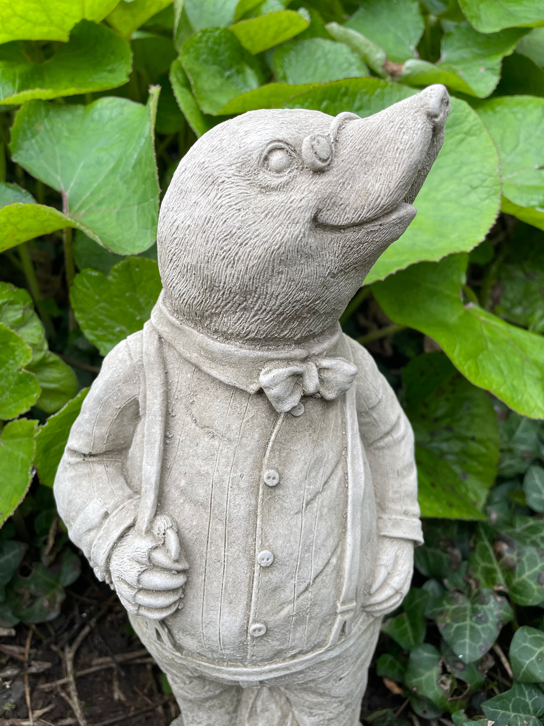 Mr Mole Stone Statue beatrix Potter Wind Willows Animal - Etsy