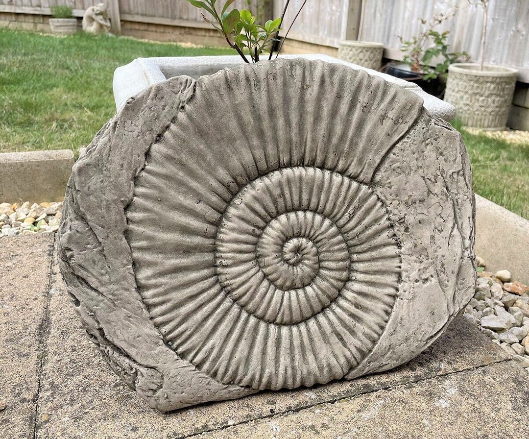 Ammonite Fossil Stone Statue | Hanging Plaque Dinosaur Outdoor Garden ...