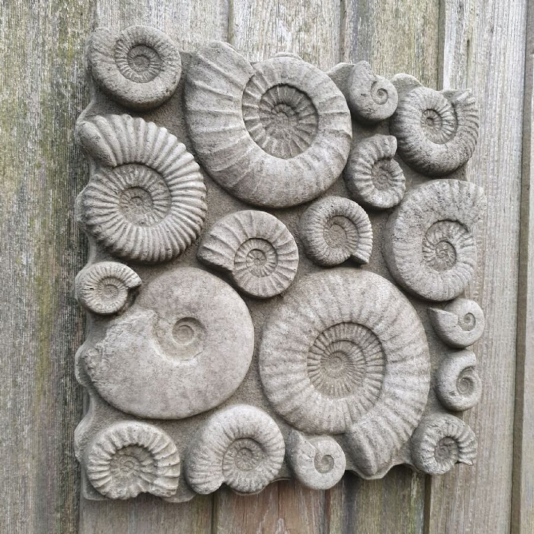 Fossil Wall Stone Statue Hanging Ammonite Dinosaur Outdoor Garden ...