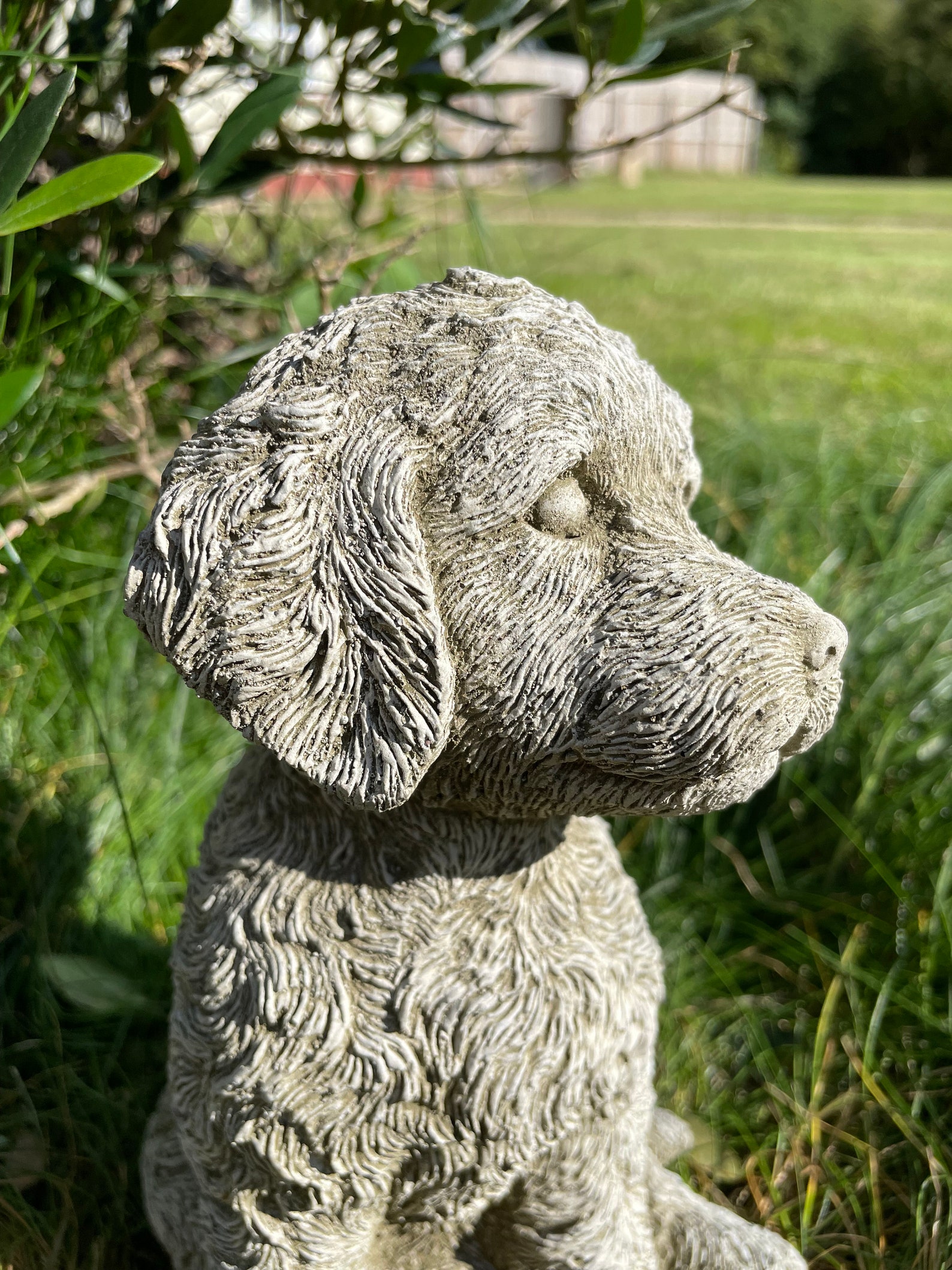 Cockapoo Puppy Dog Stone Statue Animal Garden Outdoor - Etsy