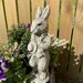 Mini Peter Rabbit Stone Statue Beatrix Potter Animal Garden - Etsy