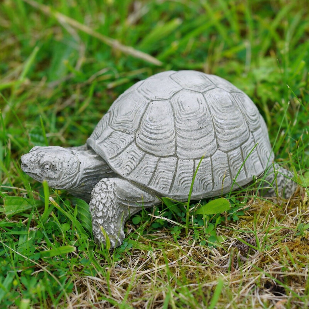 Tortoise Stone Statue | Outdoor Garden Turtle Animal Sea Ornament ...