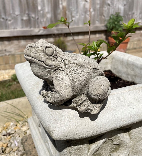 Frog Stone Garden Statue Outdoor Animal Sculpture Toad - Etsy