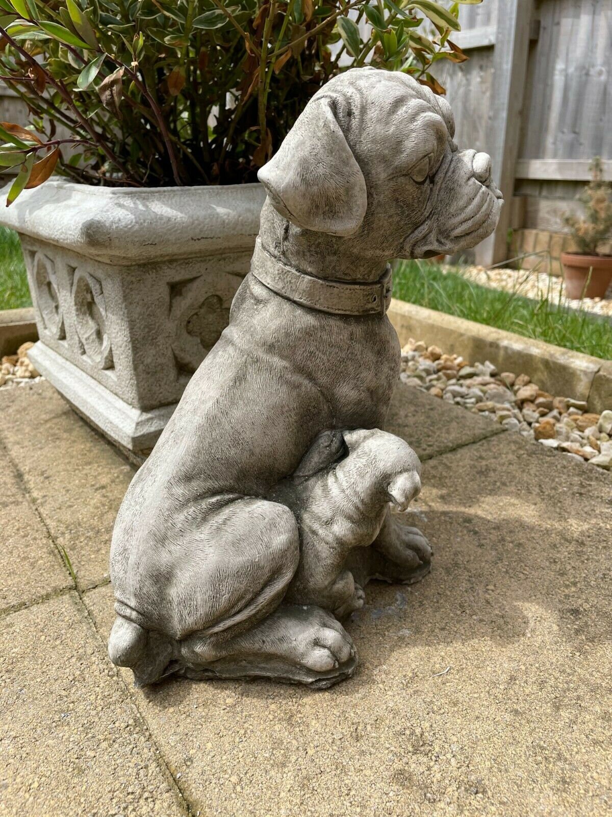 Boxer Dog & Pups Stone Statue Animal Puppy Outdoor Garden | Etsy