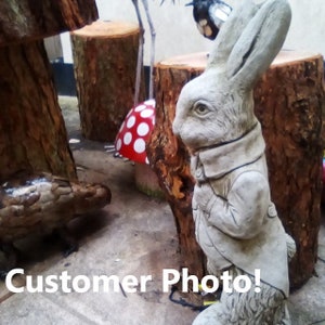 Peter Rabbit Large Stone Statue | Outdoor Garden Ornament Beatrix ...