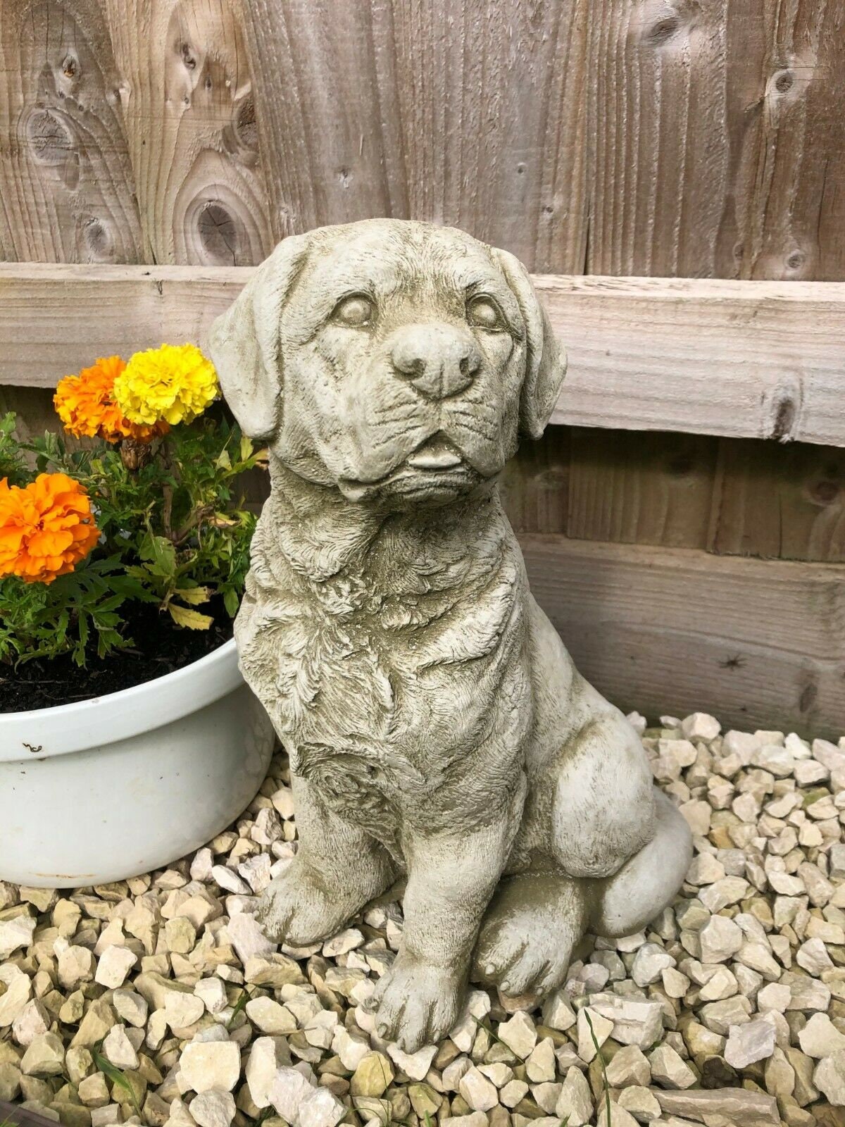 Reconstituted Stone Sitting Labrador Statue | Vintage Concrete Outdoor ...