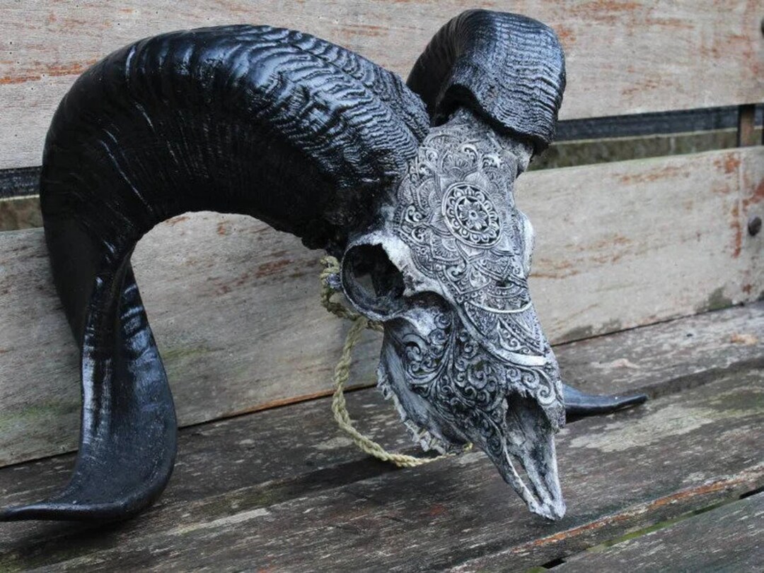 Carved RAM Skull Realistic Hand Carved Ram Skull Decoration - Etsy
