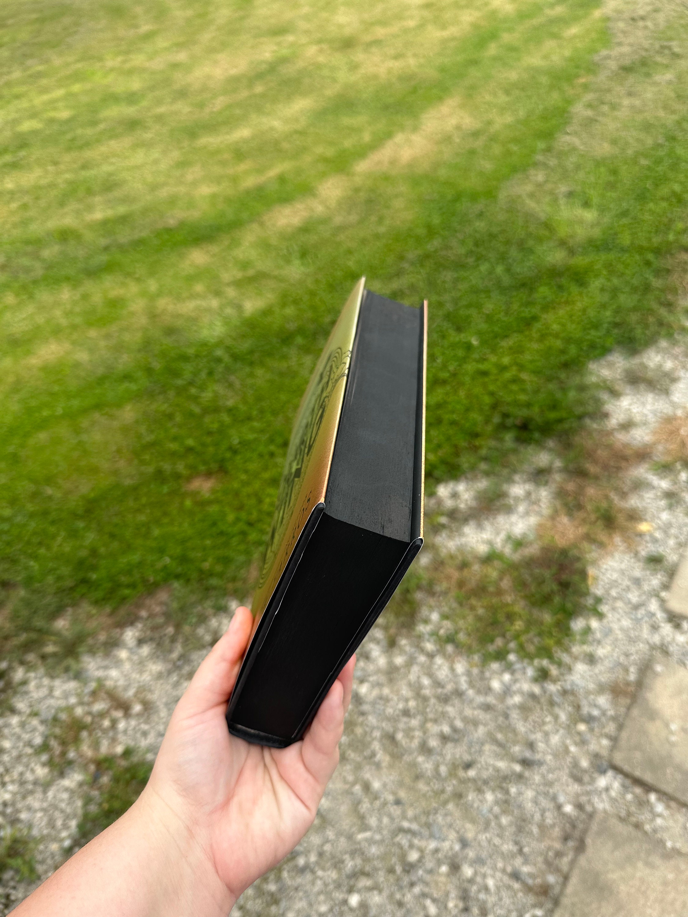 Solid Sprayed Edge of Fourth Wing and Iron Flame - Etsy