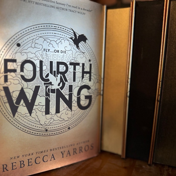 Fourth Wing Sprayed Edges Stencil - Etsy