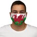 Unisex Welsh Flag Face Mask | Breathable & Flexible Flag of Wales ...