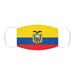 Unisex Ecuadorian Flag Face Mask Breathable & Flexible Flag of Ecuador ...