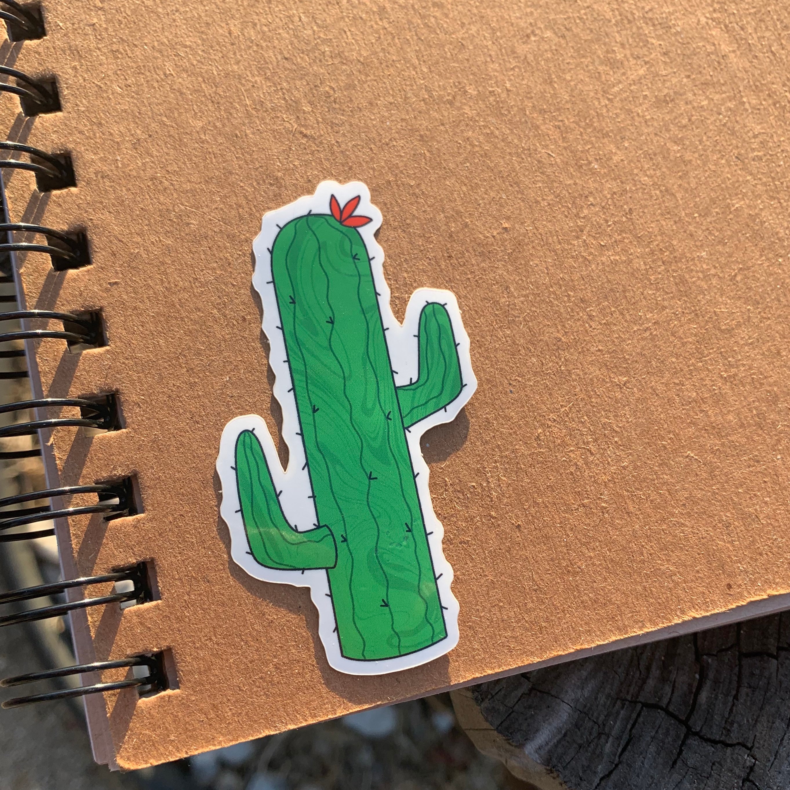Cactus Sticker, Vinyl Laptop Sticker, Water Bottle Sticker, Notebook ...