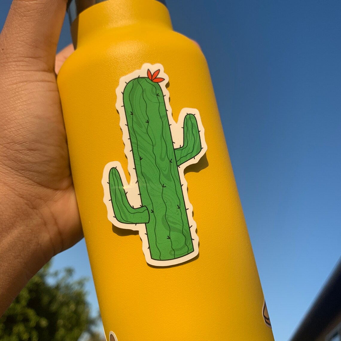 Cactus Sticker, Vinyl Laptop Sticker, Water Bottle Sticker, Notebook ...