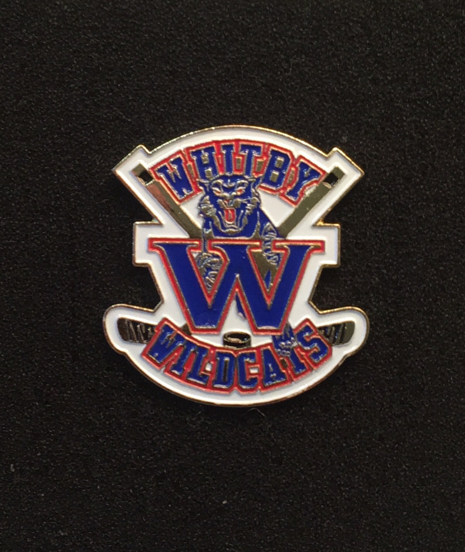 Whitby wildcats hockey club vintage pin | Etsy