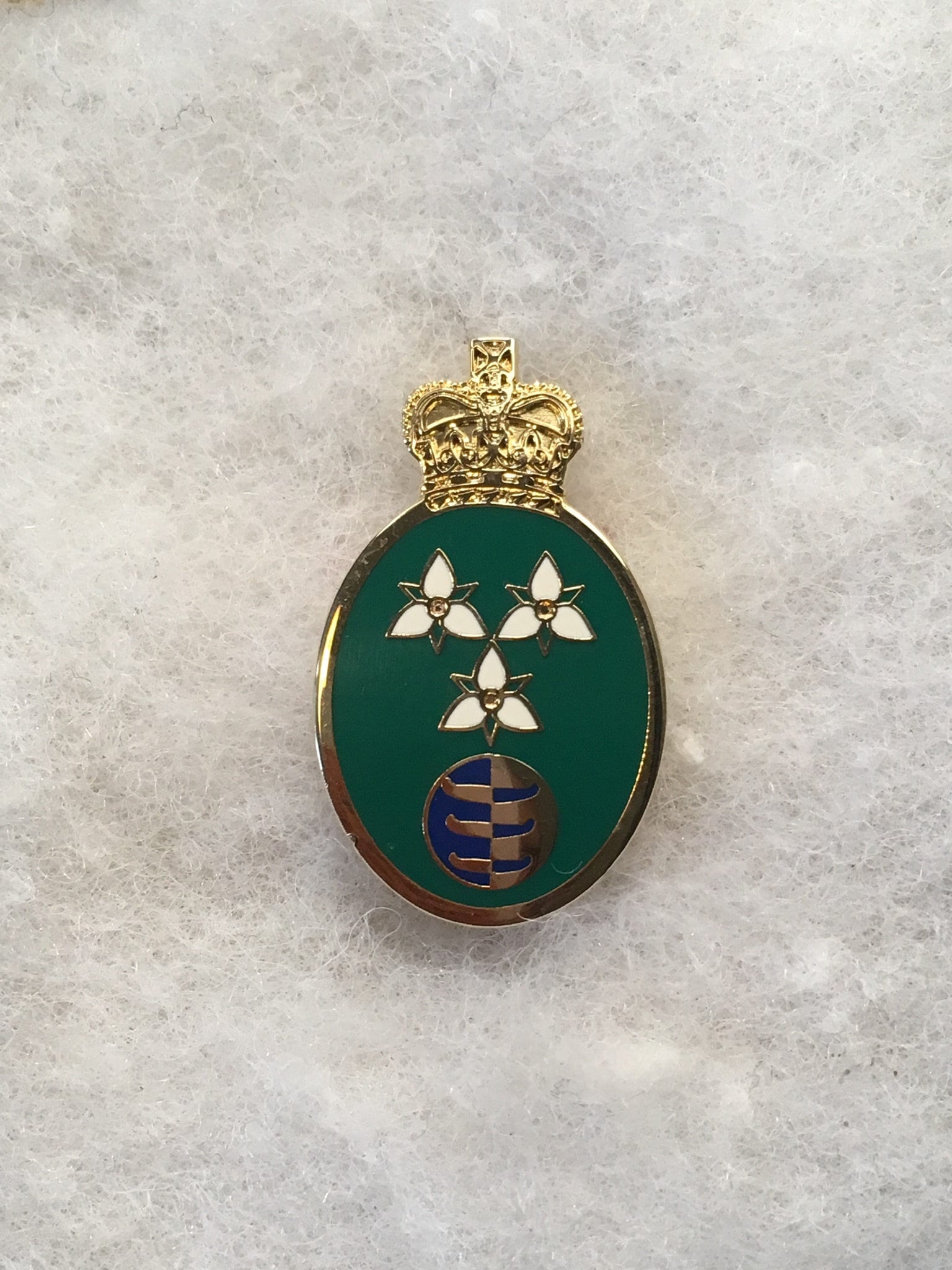 Lieutenant Governor Symbol