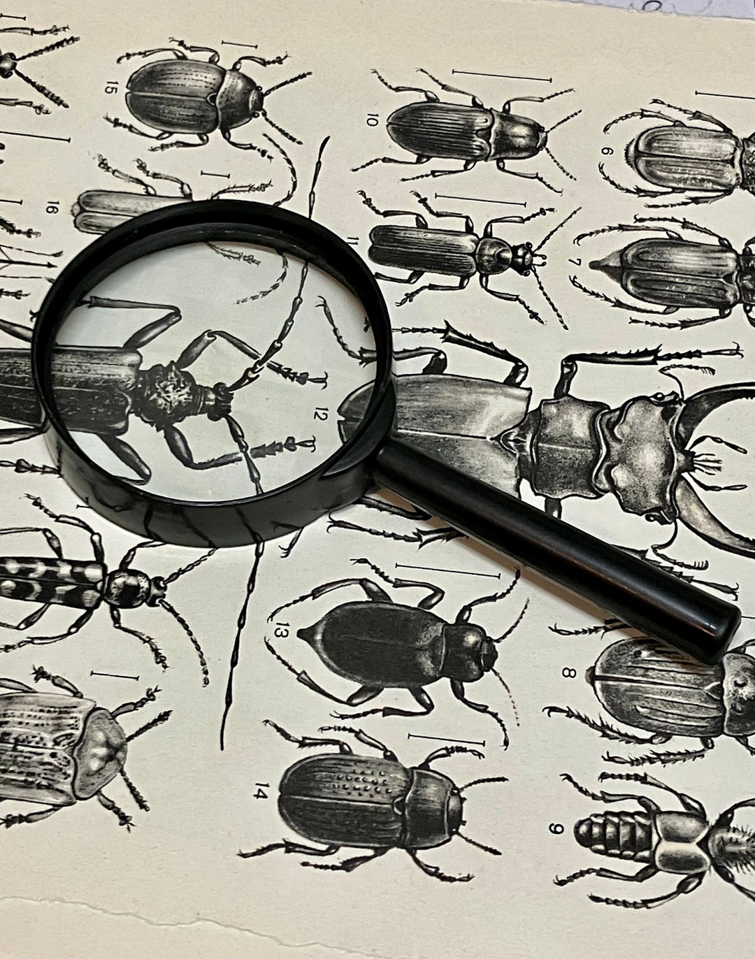 Simple Pocket Magnifier. - Etsy