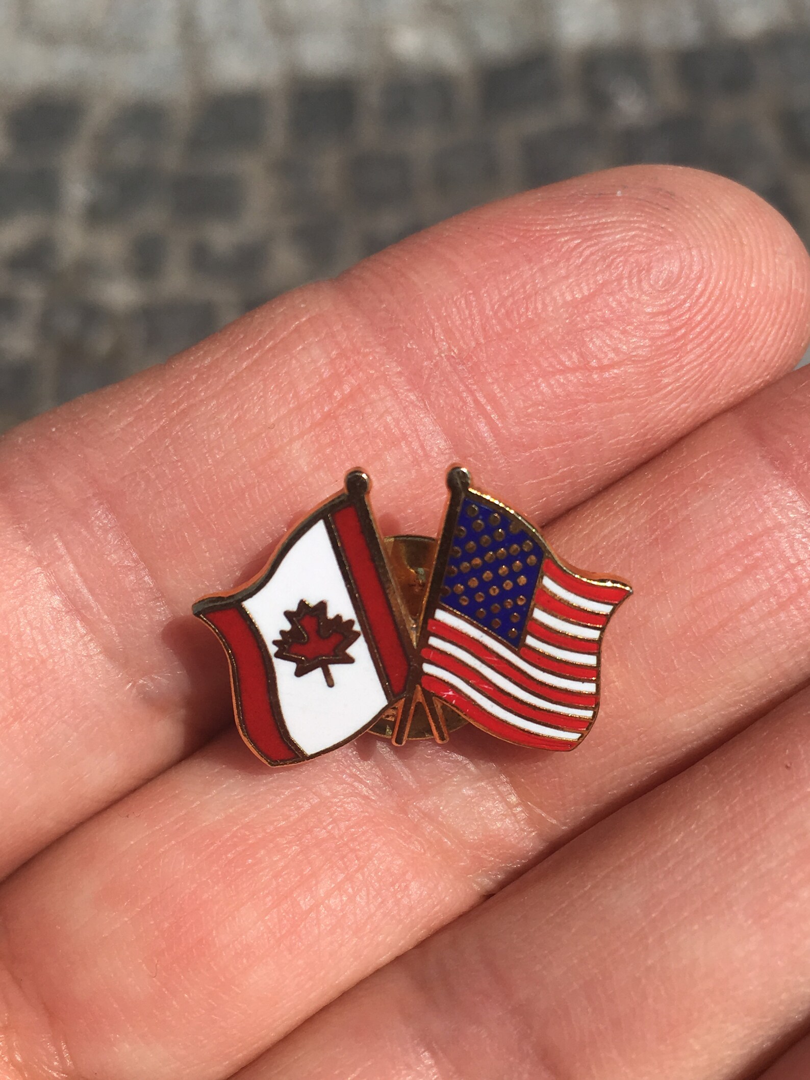 Canada USA friendship enamel pin | Etsy