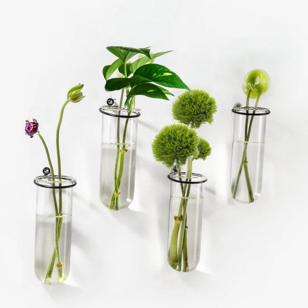 Wall Glass Propogation Tubes With Rim - Etsy