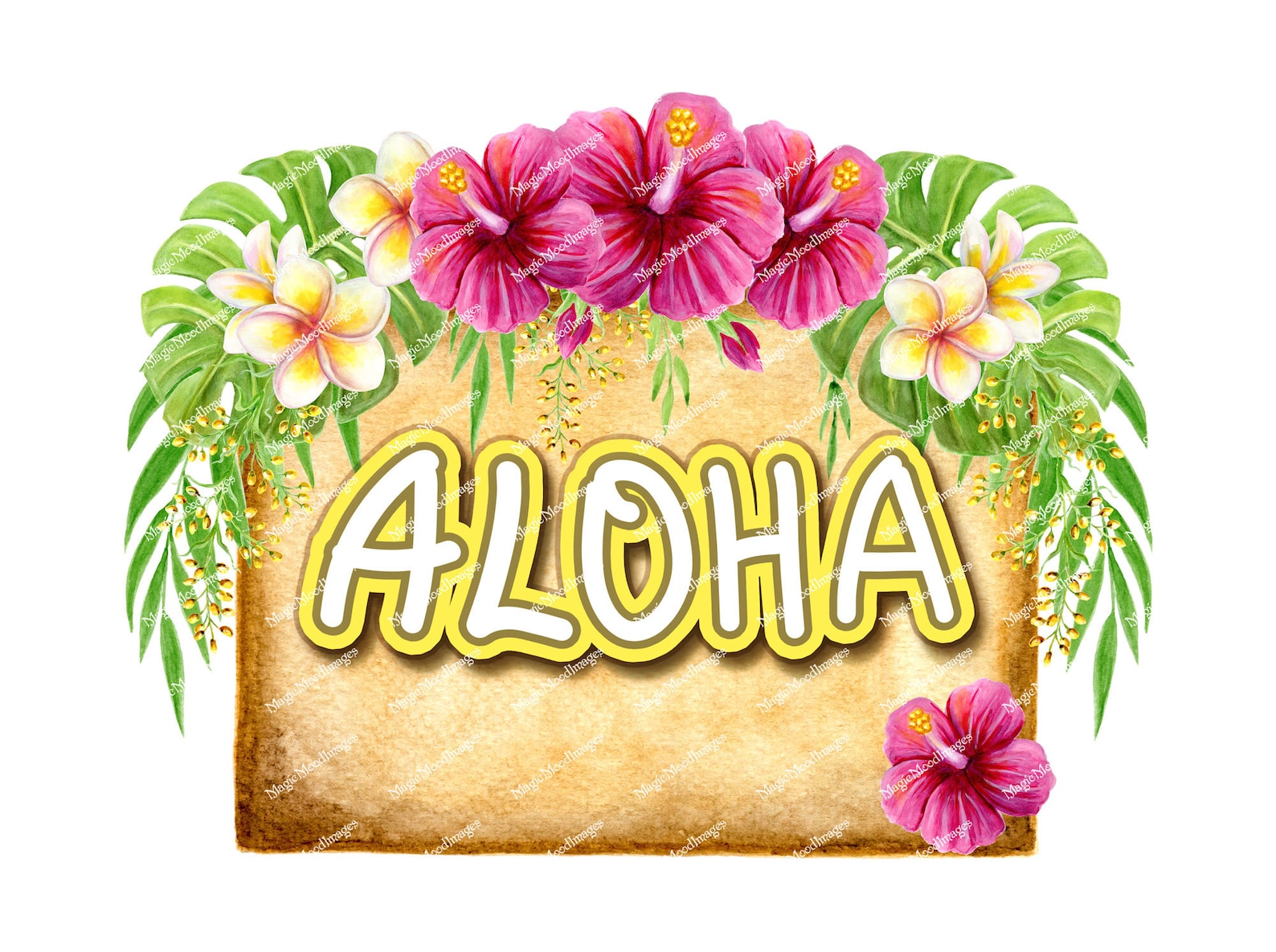A salutation from the islands aloha | The Fact Base